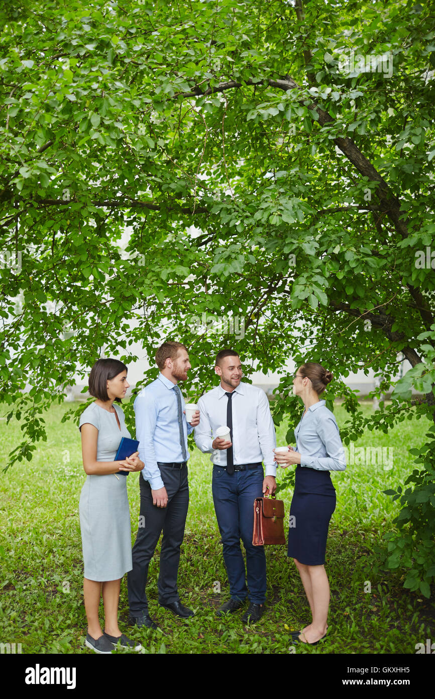 Team of co-workers talking under tree in park Stock Photo - Alamy