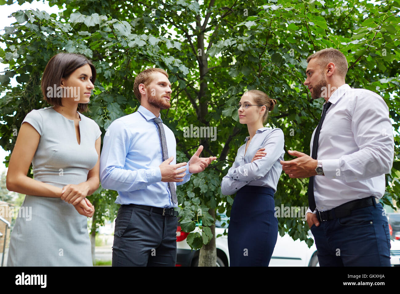 Group of co-workers talking in park by linden tree Stock Photo - Alamy