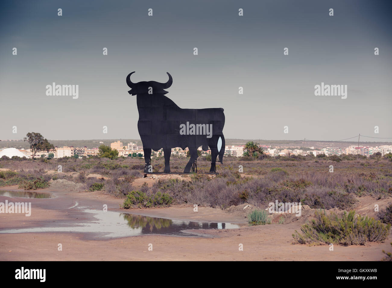 Black spanish bull hi-res stock photography and images - Alamy