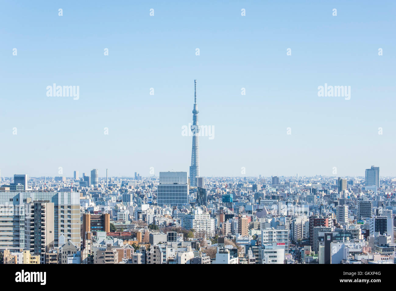 TOKYO SKYTREE,Sumida-Ku,Tokyo,Japan View from Bunkyo-Ku, Tokyo, Japan ...
