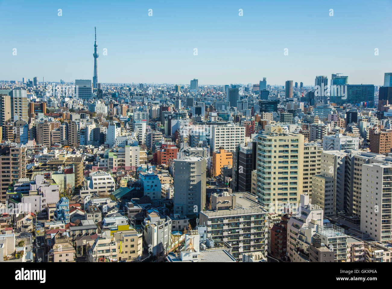 TOKYO SKYTREE,Sumida-Ku,Tokyo,Japan View from Bunkyo-Ku, Tokyo, Japan ...