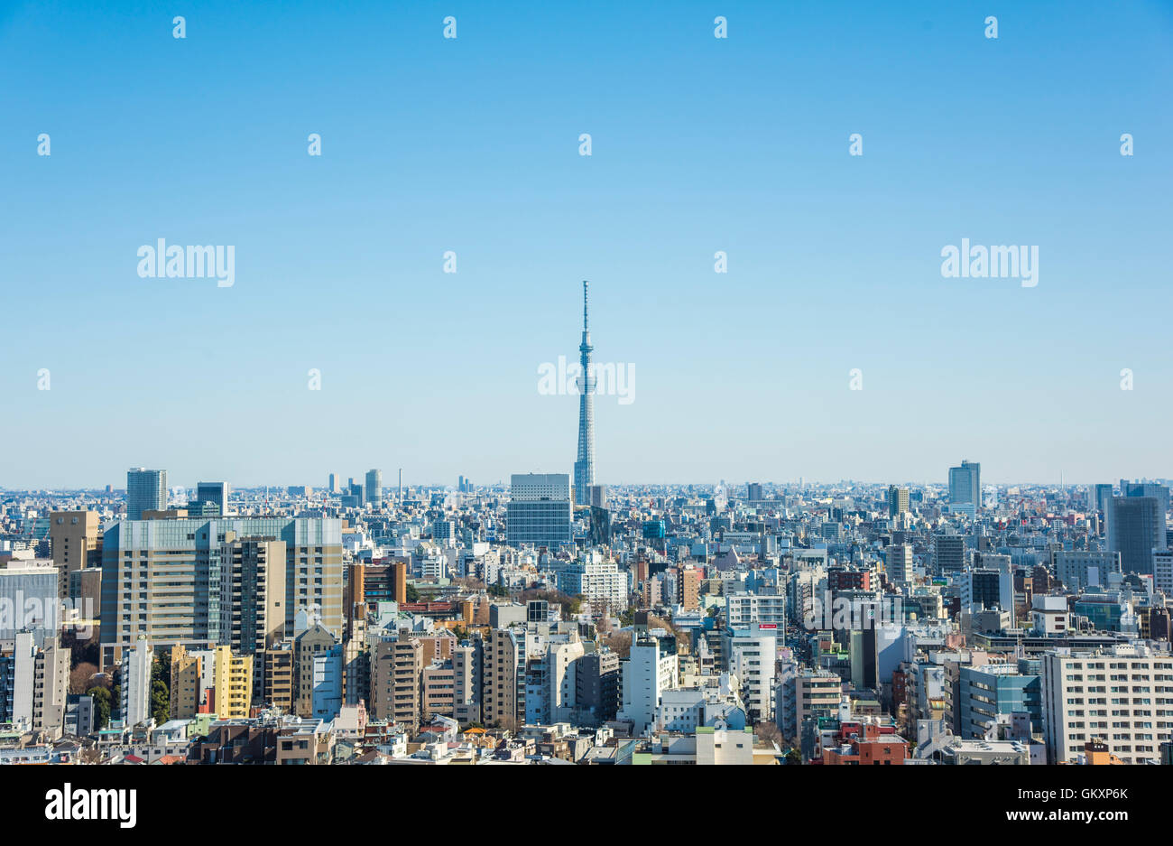 TOKYO SKYTREE,Sumida-Ku,Tokyo,Japan View from Bunkyo-Ku, Tokyo, Japan ...
