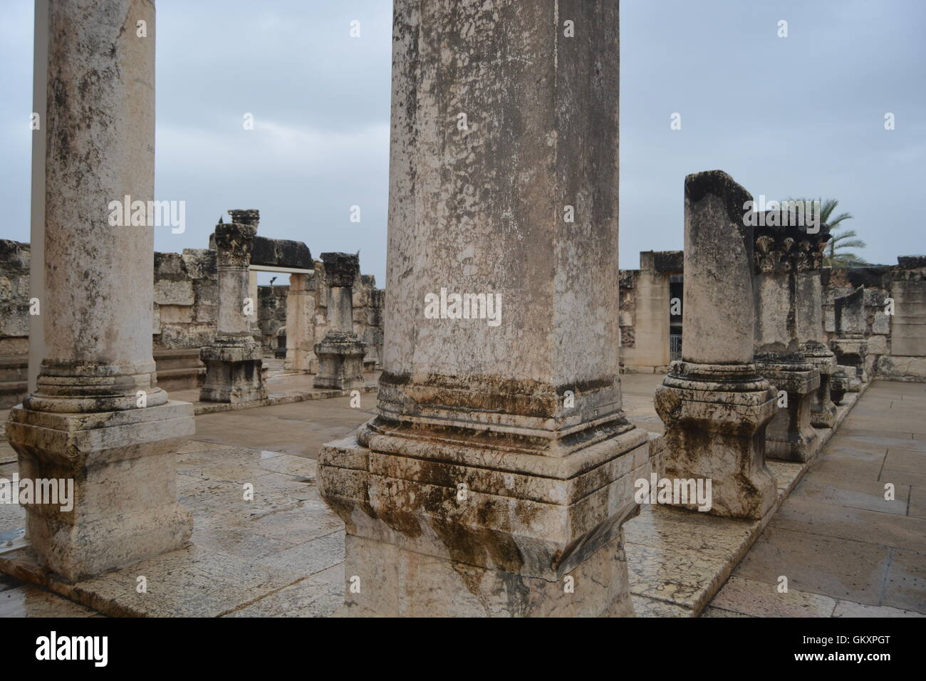 Capernaum, Sea of Galilee, Israel Stock Photo - Alamy