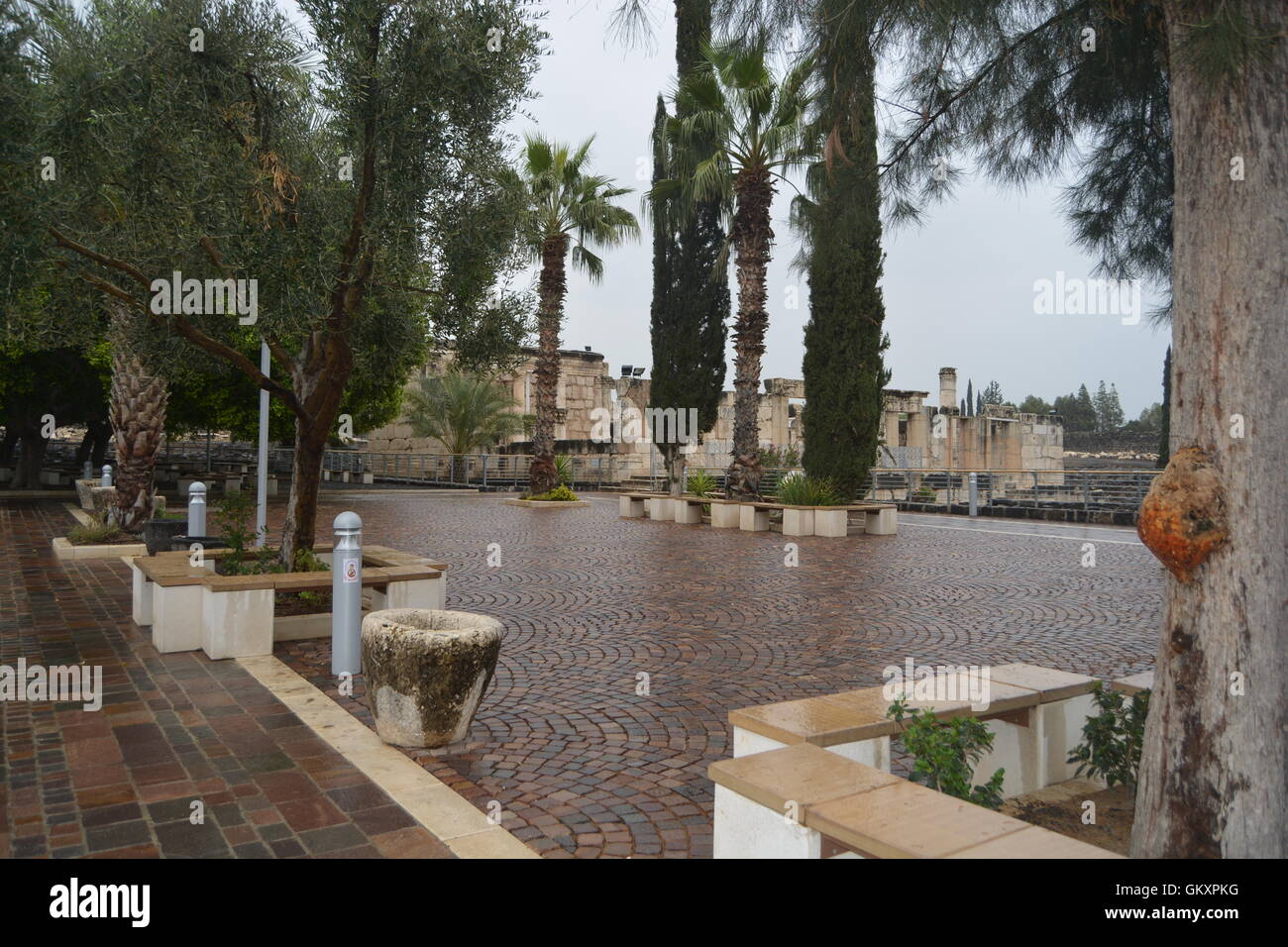 Capernaum, Sea of Galilee, Israel Stock Photo - Alamy