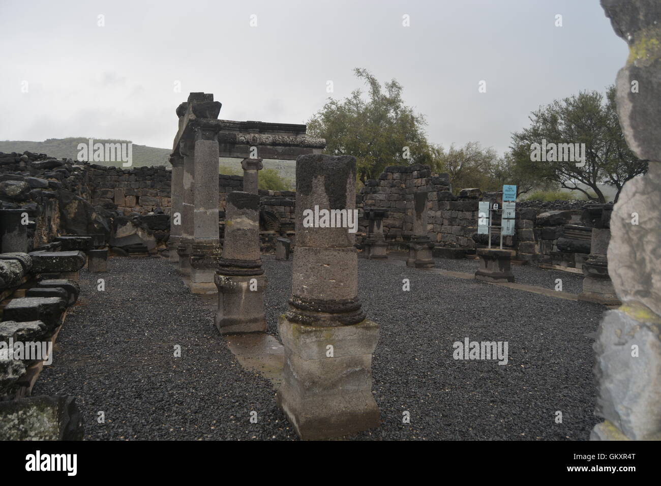 Capernaum, Sea of Galilee, Israel Stock Photo - Alamy