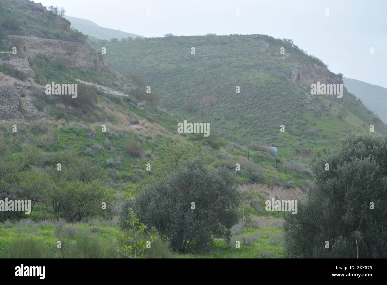 Gergesa High Resolution Stock Photography and Images - Alamy