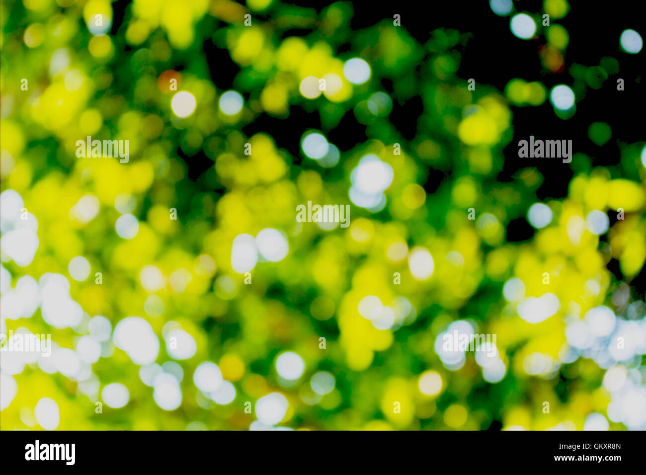 Bokeh background image with beautiful colors Stock Photo - Alamy