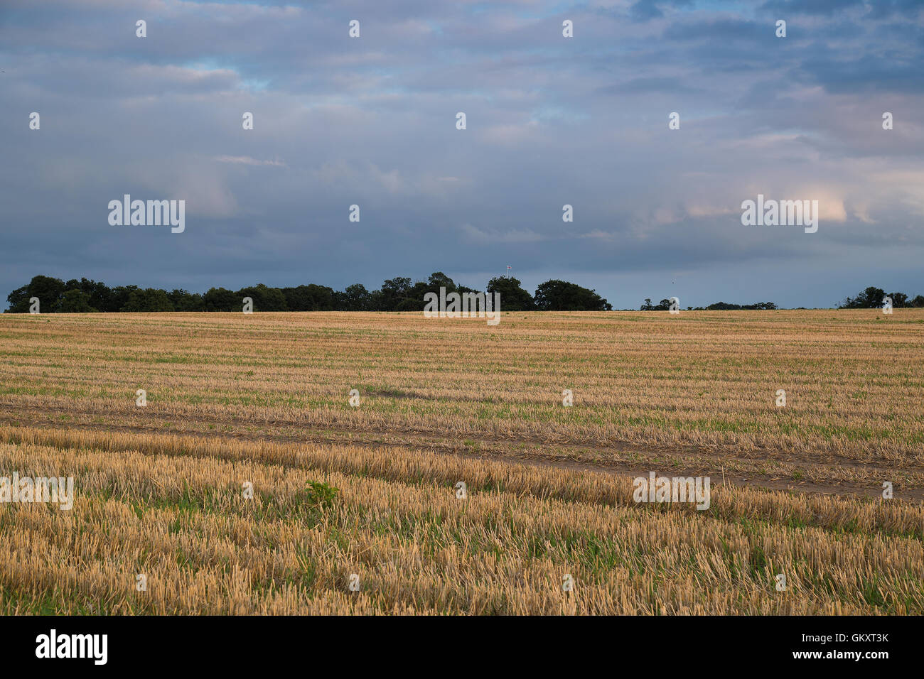 Suffolk farming hi-res stock photography and images - Alamy
