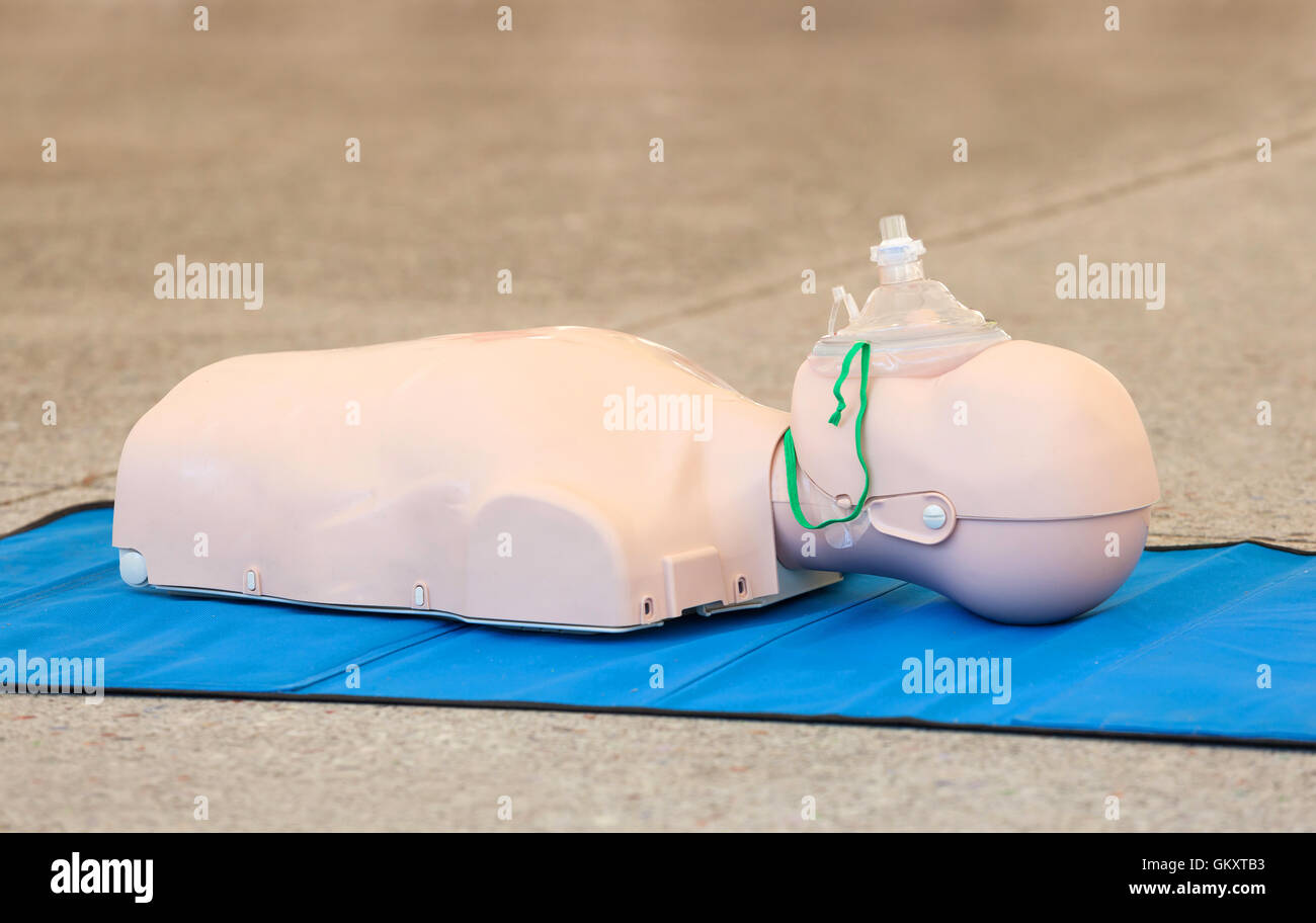 Model of dummy used for CPR training Stock Photo - Alamy