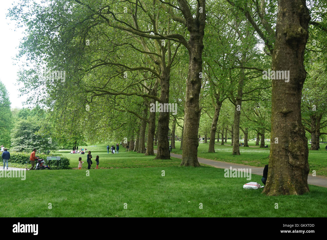 Green Park, London Stock Photo - Alamy