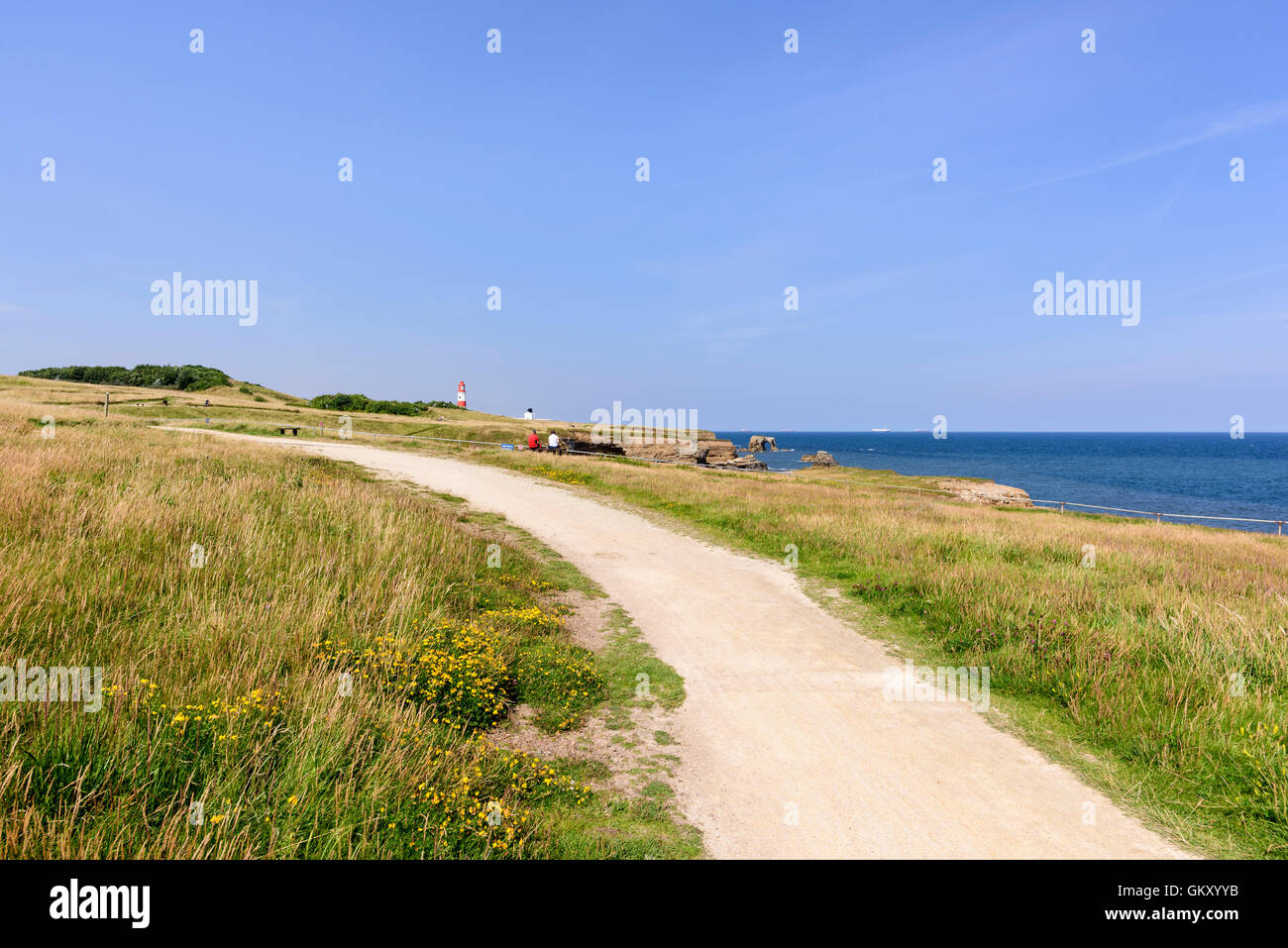 Whitburn coastal park hi-res stock photography and images - Alamy