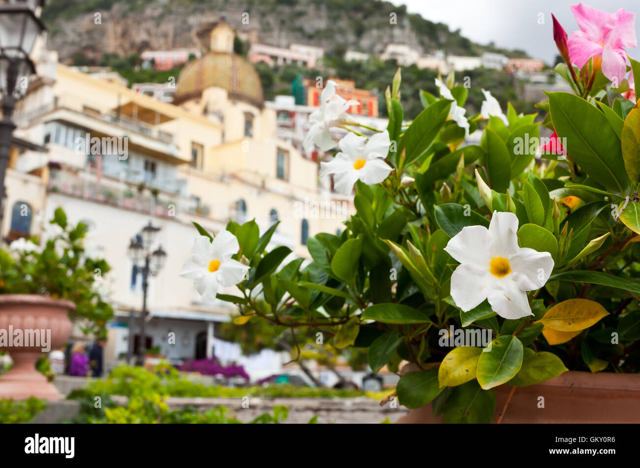 Sorrento italy flowers hi-res stock photography and images - Alamy
