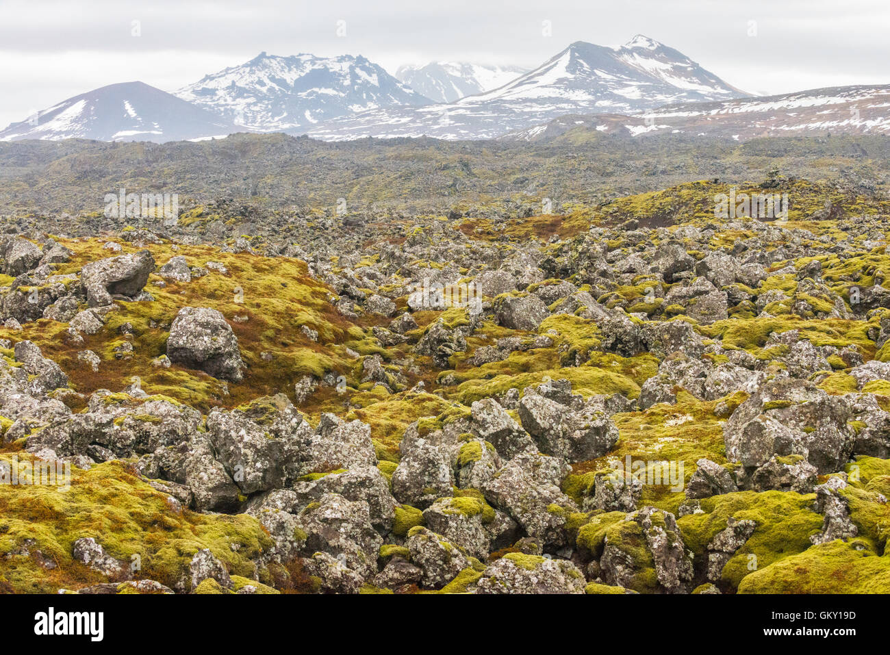 Mossy volcano hi-res stock photography and images - Alamy