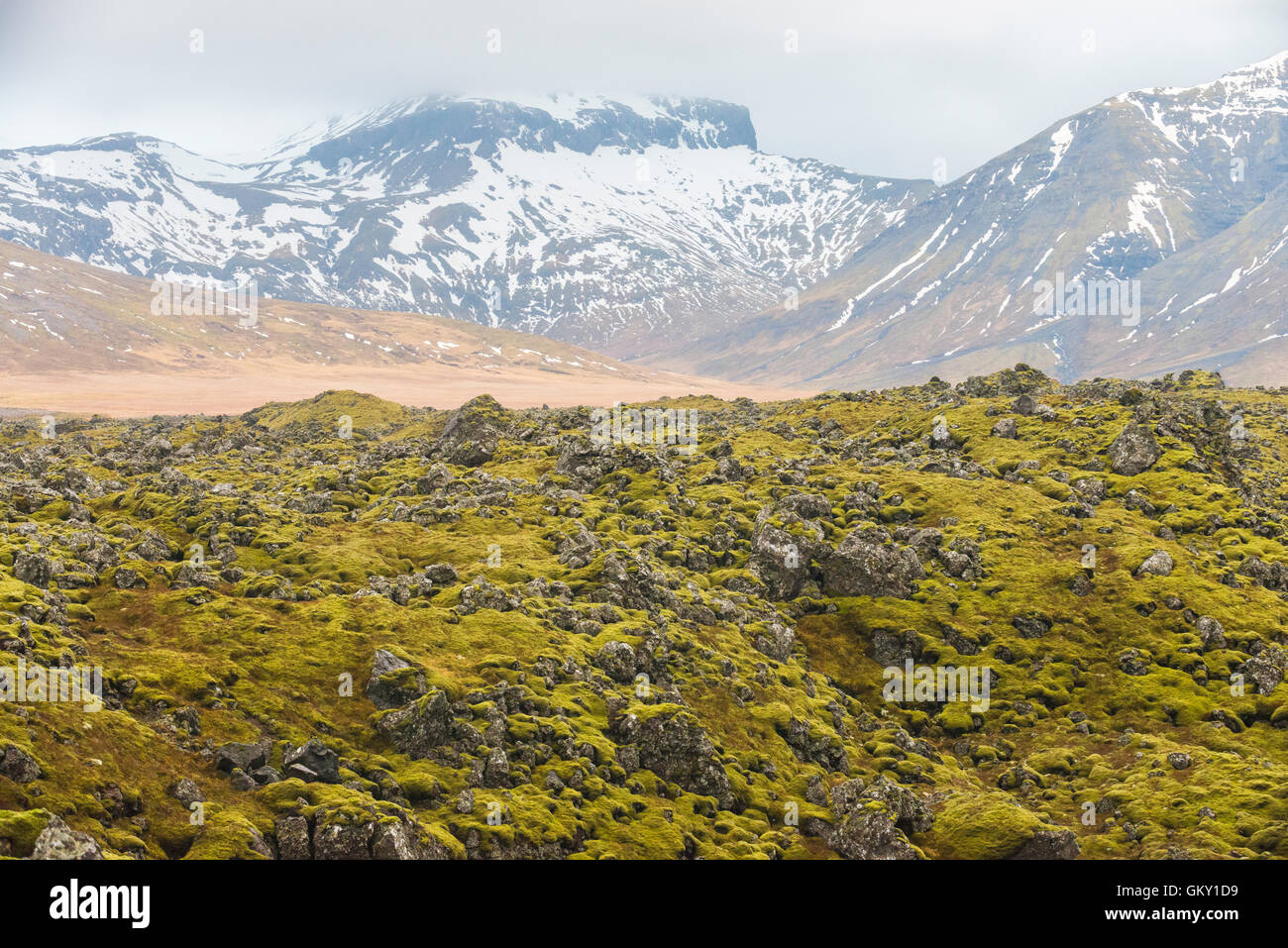 The Berserkjahraun is a 3 to 4,000 year old rocky and mossy lava field ...
