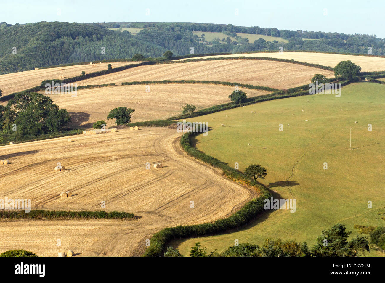 fields near the village of Dunsford, Dartmoor national park,wood ...
