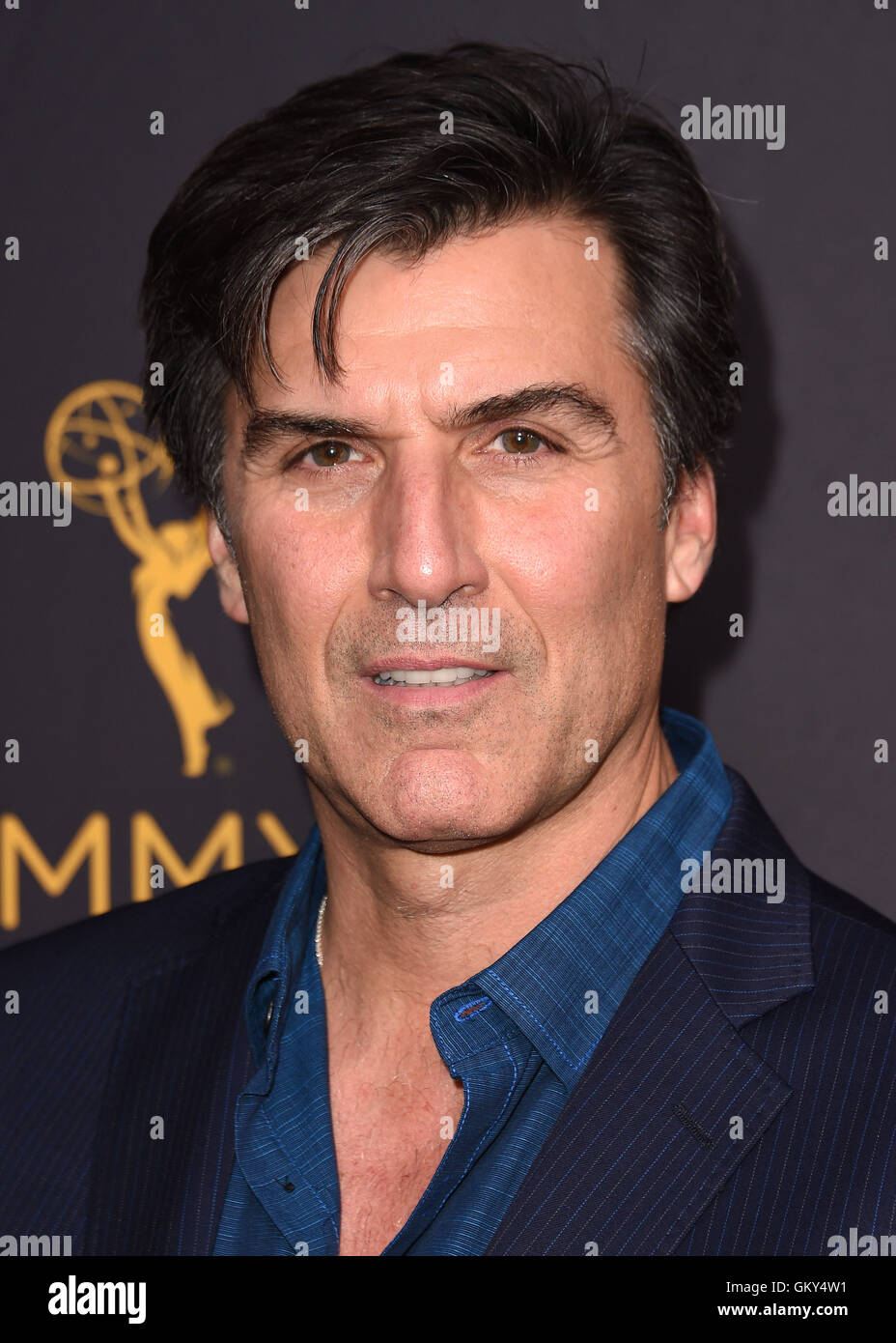 BEVERLY HILLS, CA - AUGUST 22: Vincent Irizarry at the the Television ...