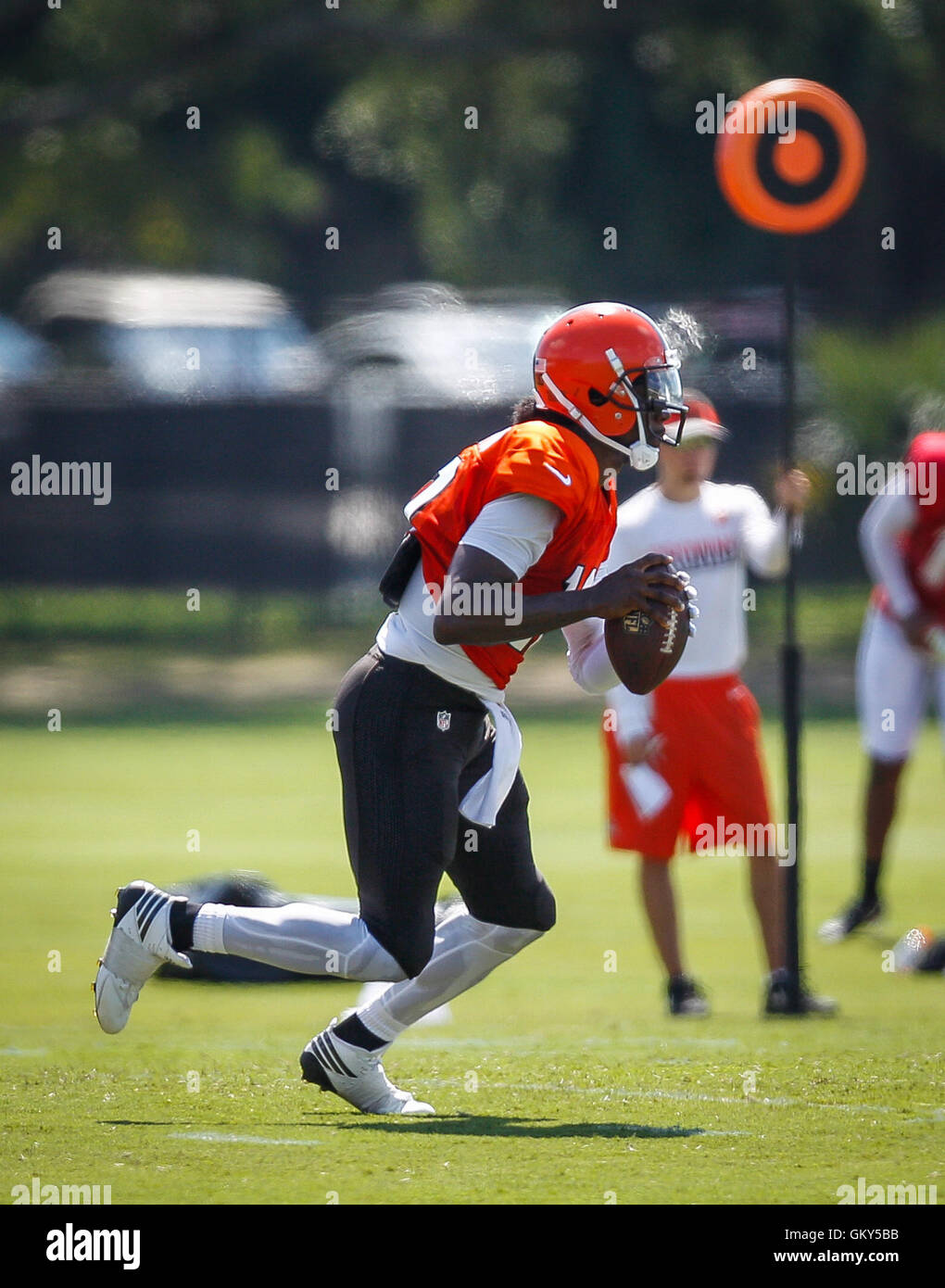 Tampa, Florida, USA. 23rd Aug, 2016. .Cleveland Browns quarterback ...