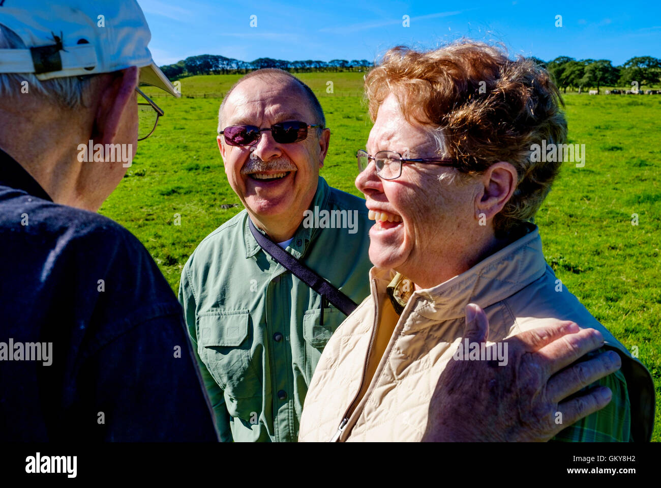 Flying fortress crash site hi-res stock photography and images - Alamy