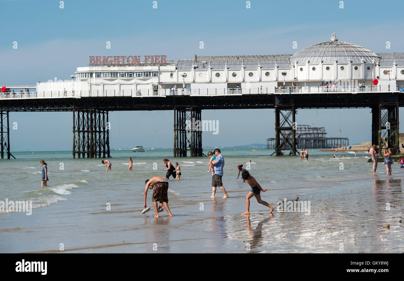 Brighton, UK. 24th Aug, 2016. Crowds flock to Brighton beach to enjoy ...