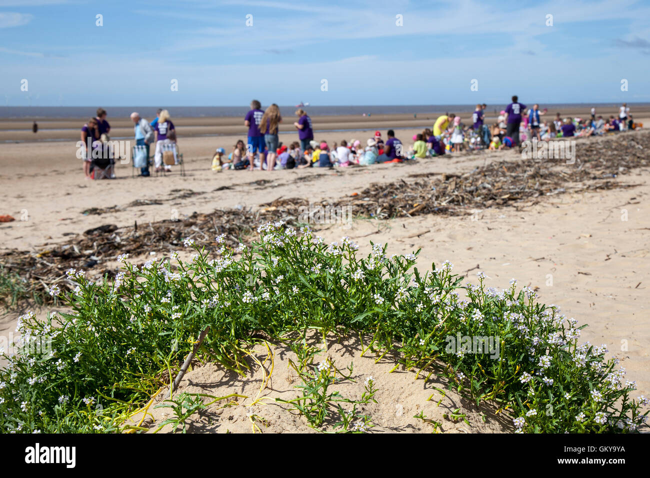 Sun seekers sunbathing on the beach hi-res stock photography and images ...