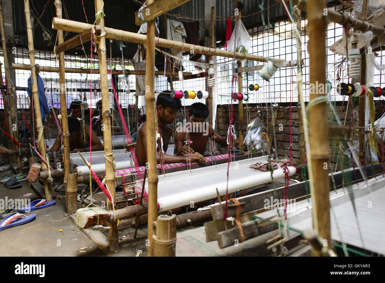Near Dhaka, Bangladesh. 24th Aug, 2016. Handloom weaver weaves Jamdani saree on a traditional ...