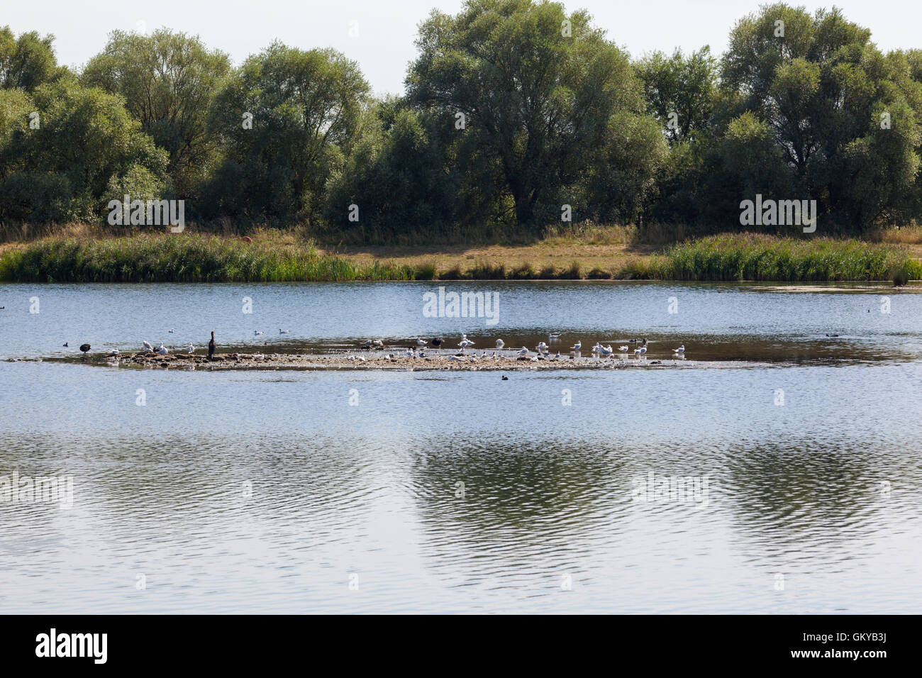 Stanwick hi-res stock photography and images - Alamy