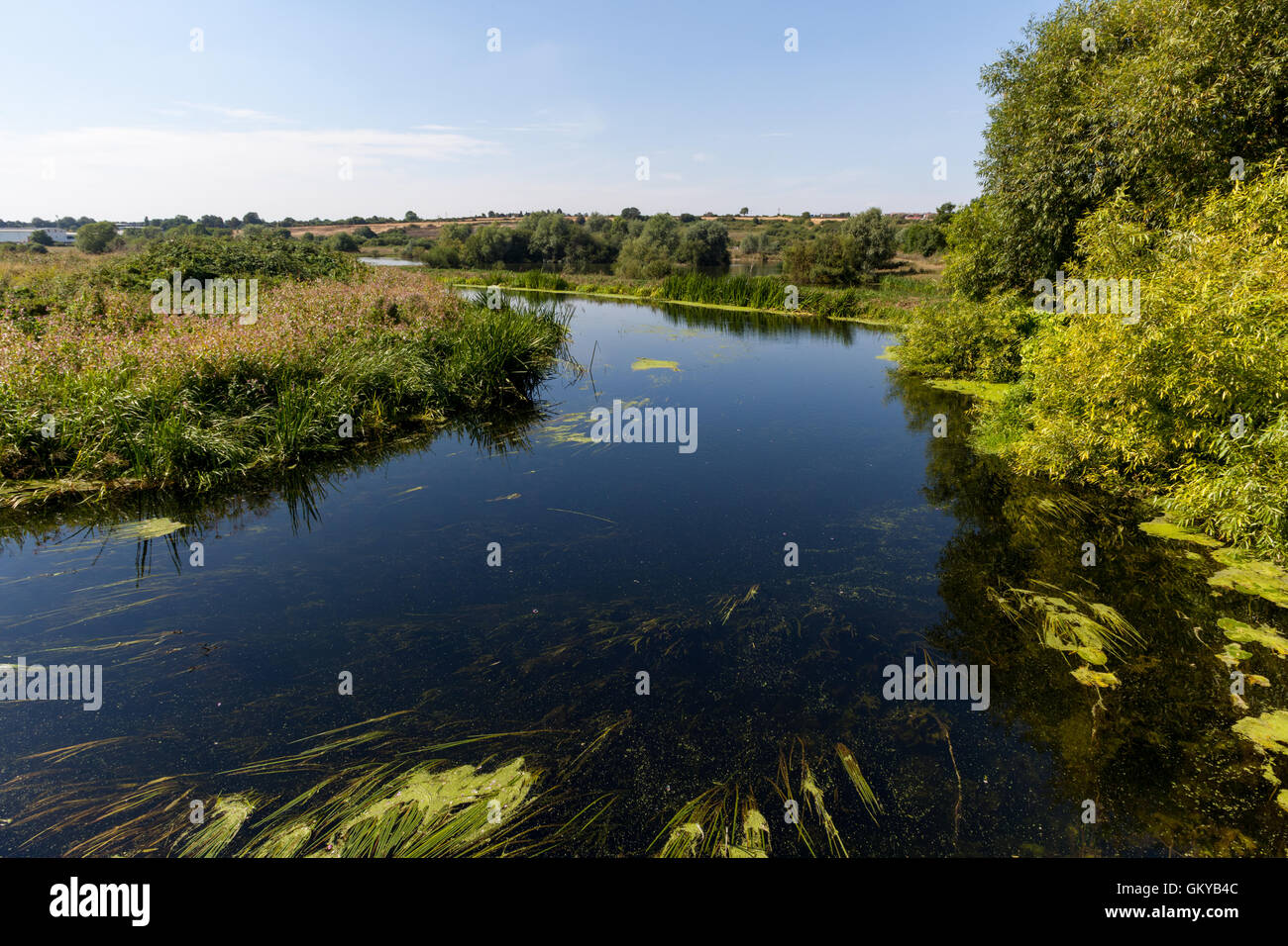 Wellingborough and uk hi-res stock photography and images - Alamy
