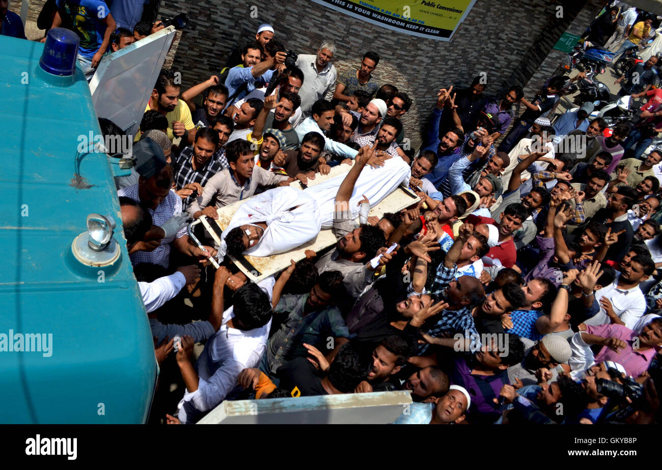 Amir bashir hi-res stock photography and images - Alamy