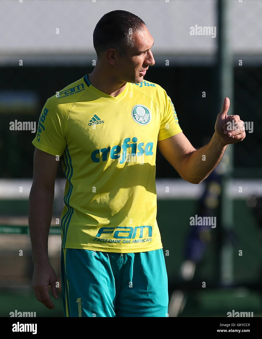 SÃO PAULO, SP - 24.08.2016: TREINO DO PALMEIRAS - The goalkeeper ...