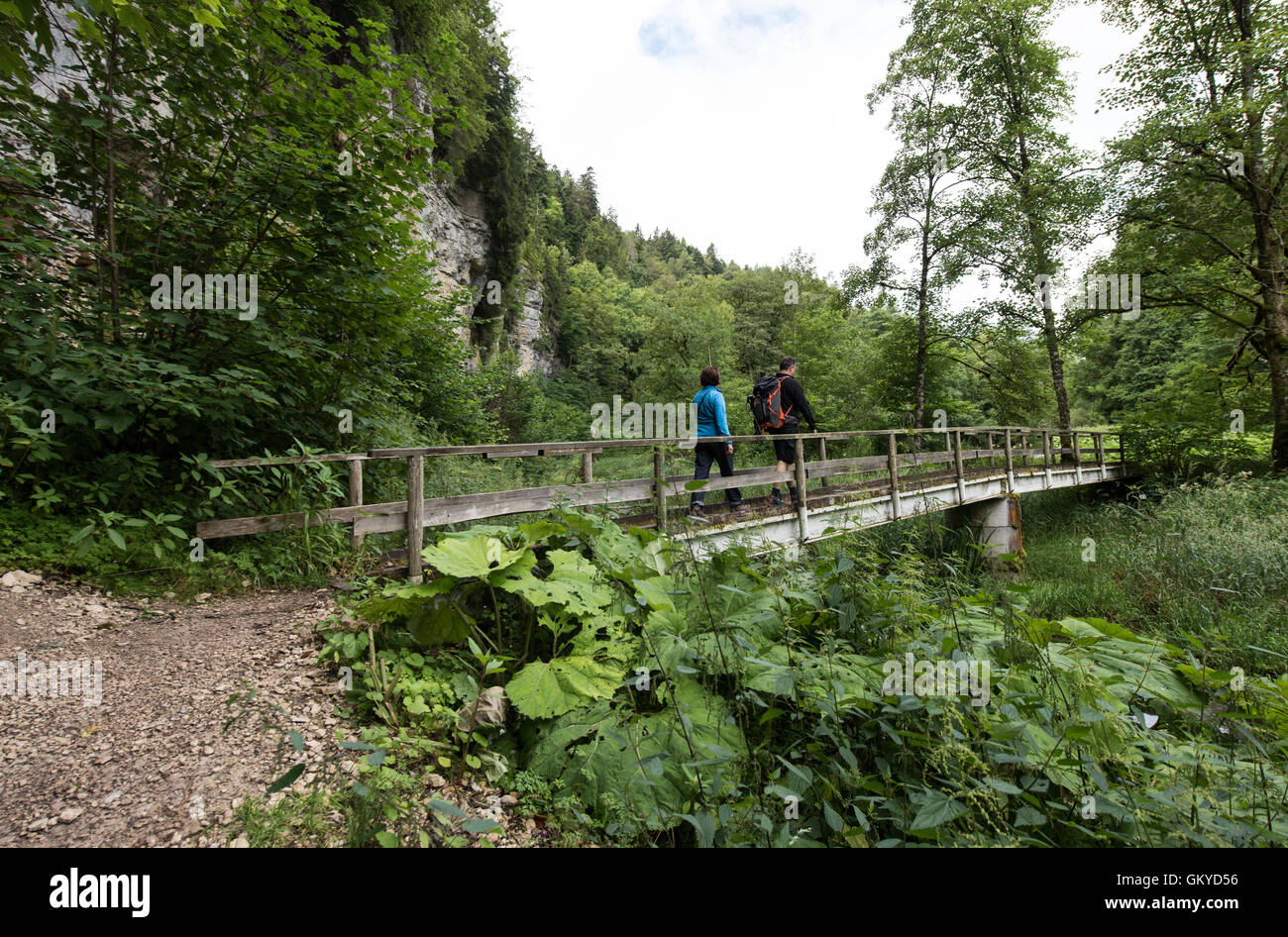 Bonndorf, Germany. 13th July, 2016. A view of the Wutachschlucht nature ...