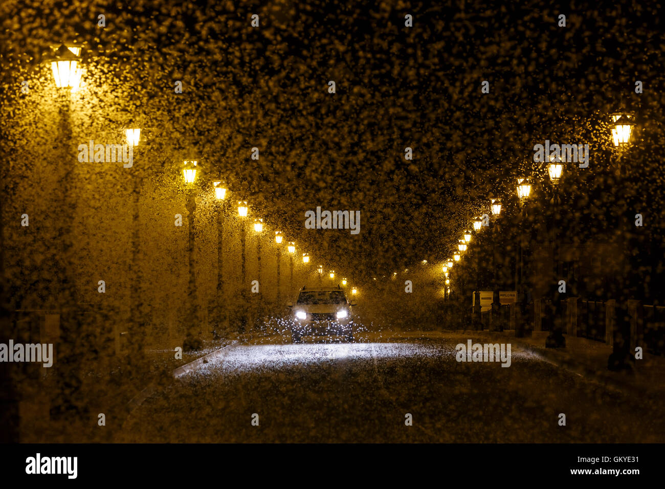 Snowing of ephemera insect in Ebro bridge. Million of Ephorom virgo ...