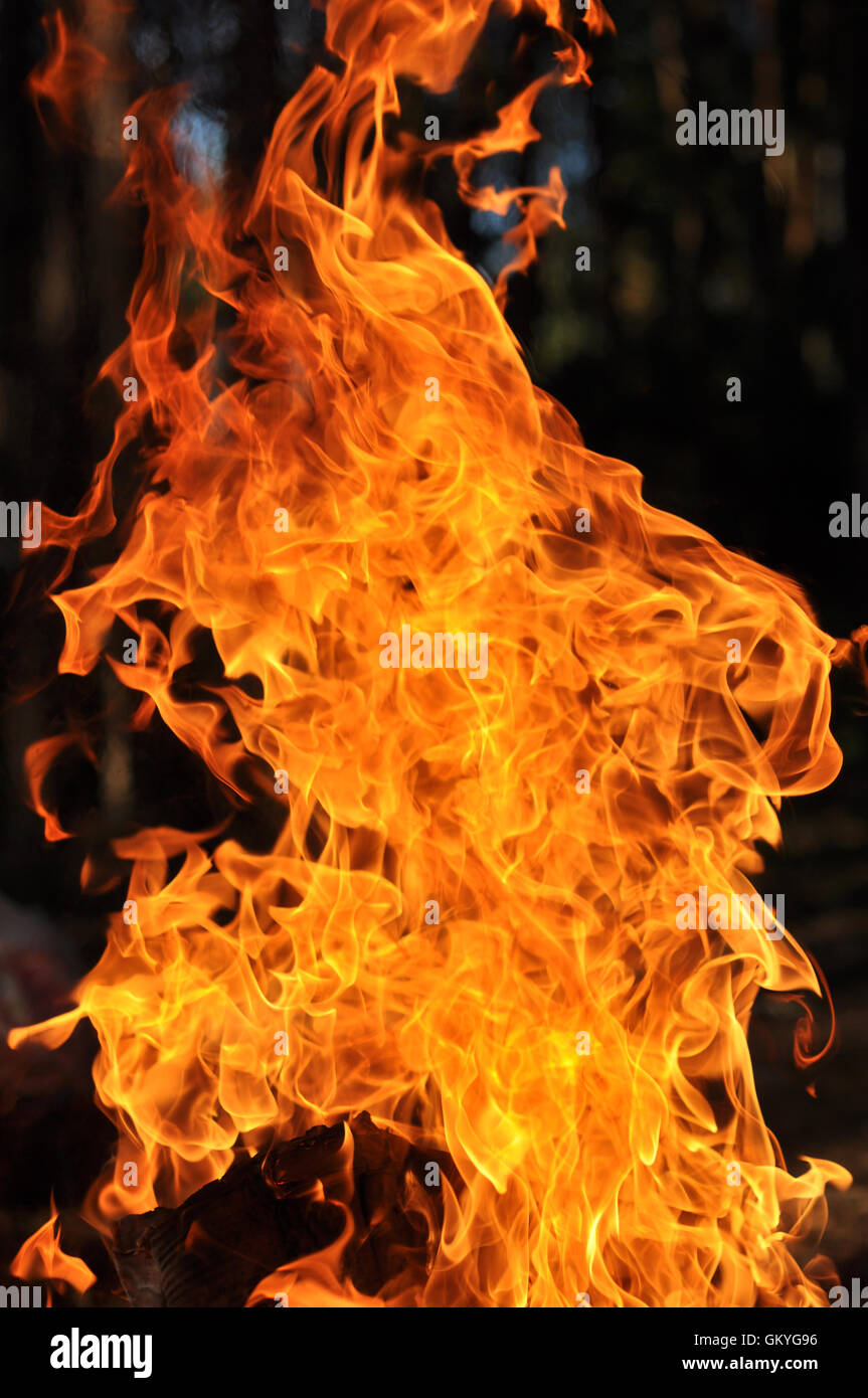 Bright red and yellow spires of bonfire Stock Photo - Alamy