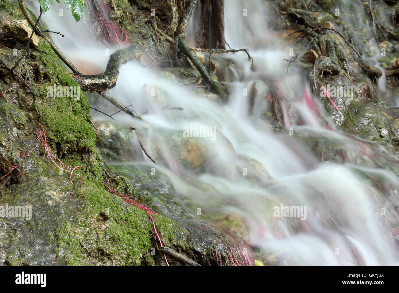 fresh spring water nature detail Stock Photo - Alamy