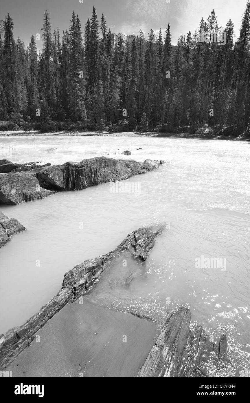 Canadian landscape with river and forest. British Columbia. Canada ...
