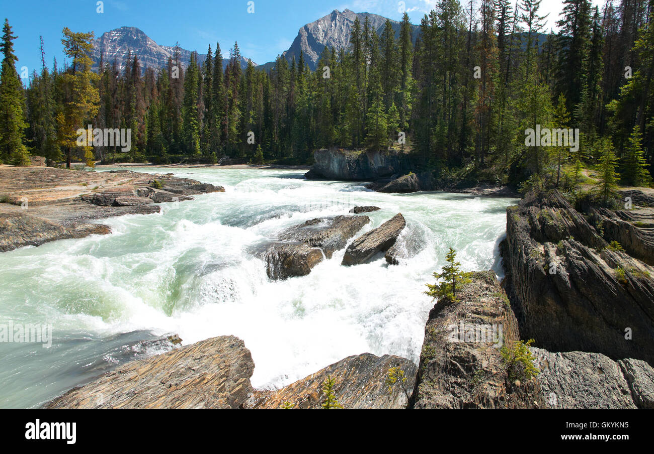 Canadian landscape with river and forest. British Columbia. Canada ...