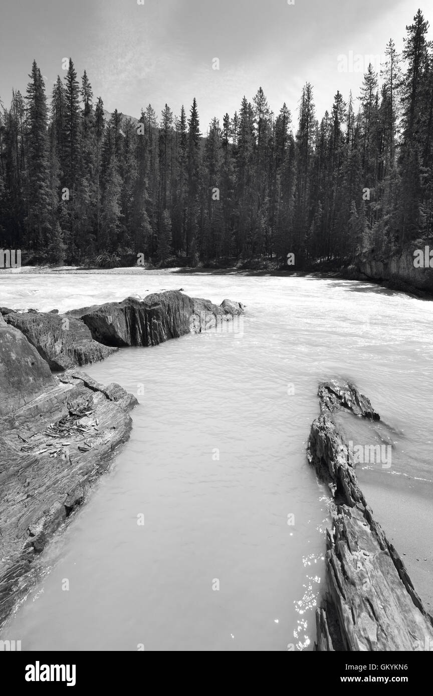 Canadian landscape with river and forest. British Columbia. Canada ...