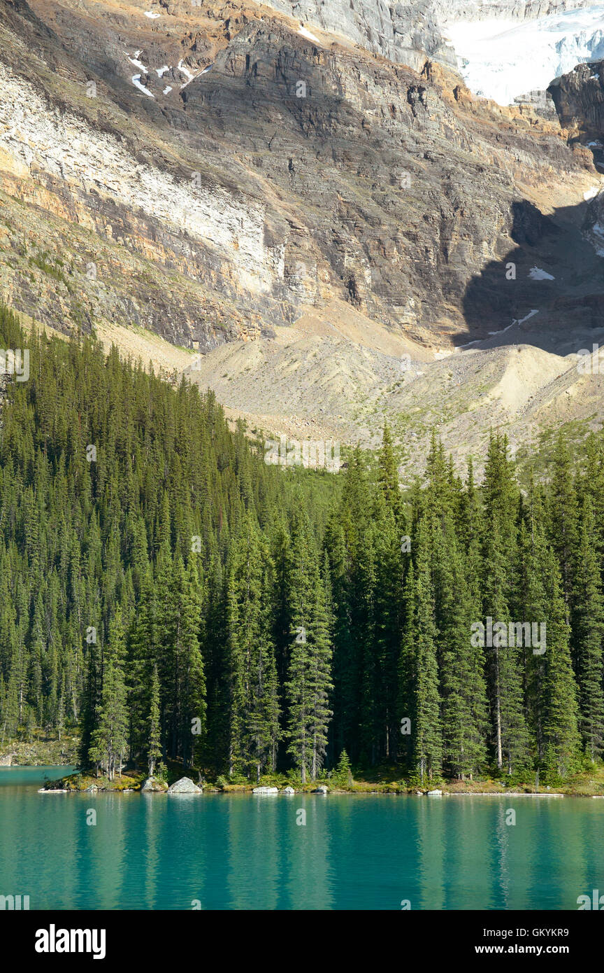 Moraine lake landscape. Alberta. Canada. Vertical Stock Photo - Alamy