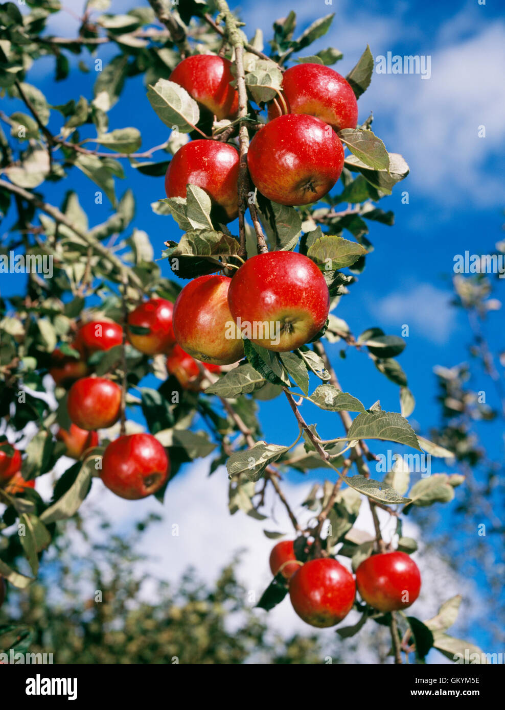 Merton wales hi-res stock photography and images - Alamy