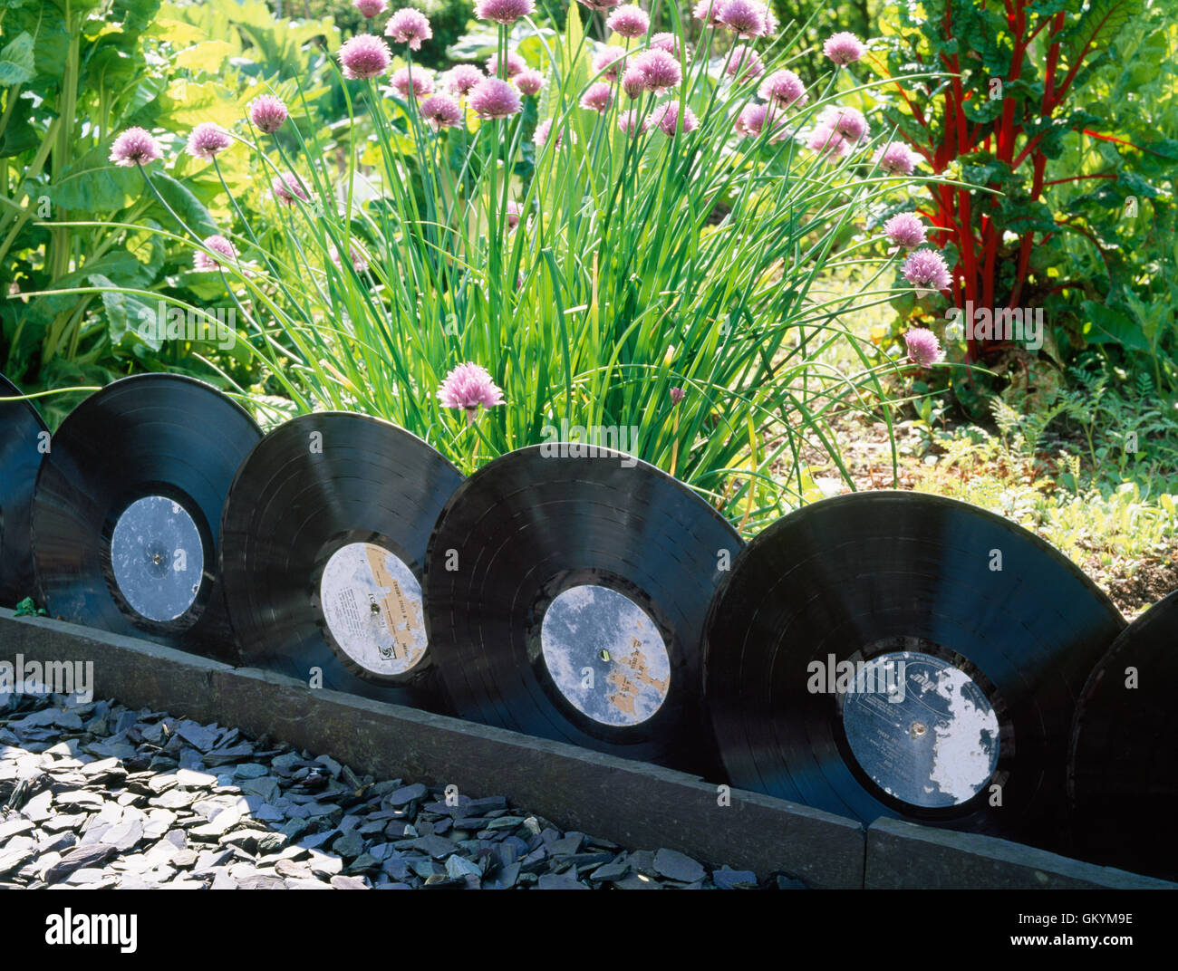 Recycled vinyl records hi-res stock photography and images - Alamy