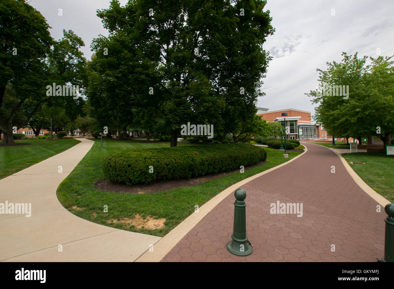 York College Of Pennsylvania Campus Stock Photo - Alamy