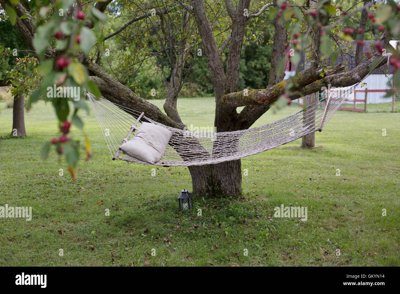 An empty hammock under a tree on a farm with barns in the background ...