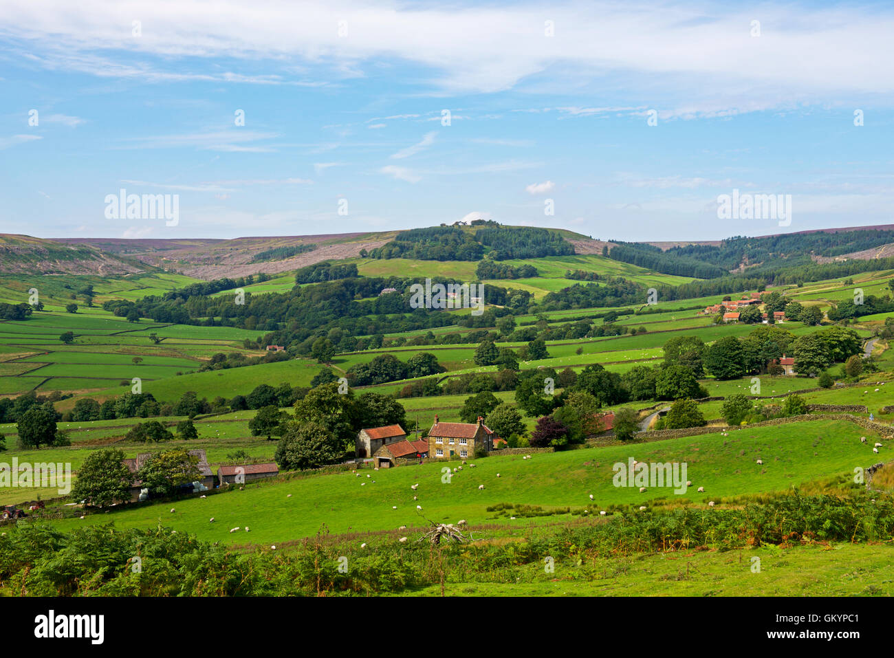 Our yorkshire farm hi-res stock photography and images - Alamy