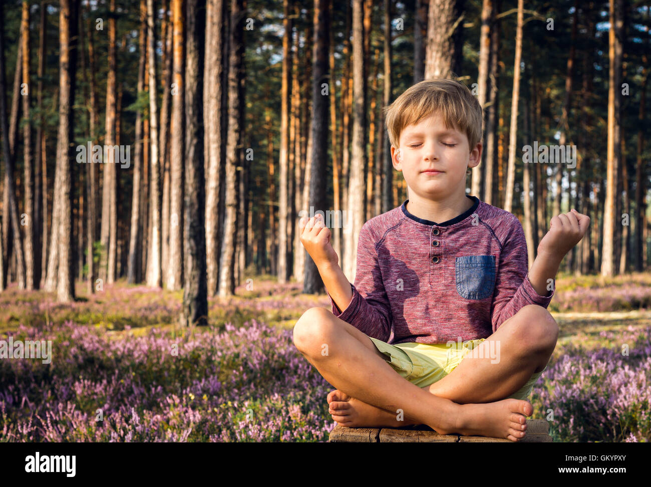 Little boy meditating in the forest Stock Photo - Alamy