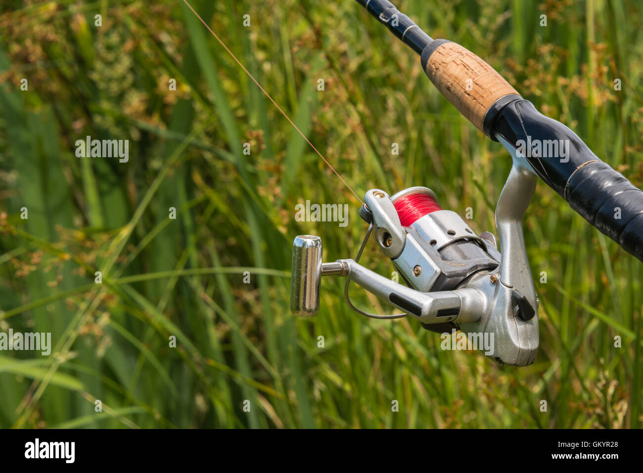 Sports Fishing Rod and Reel Detail. Copy space Stock Photo - Alamy