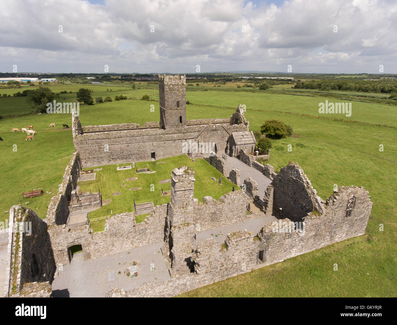 clare abbey ruins, county clare, ireland Stock Photo - Alamy