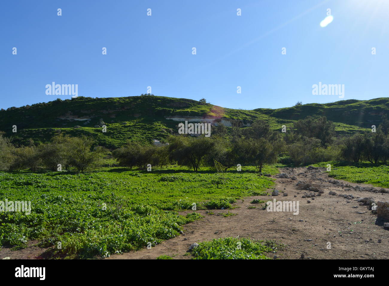 Tel Hazor, Israel Stock Photo - Alamy