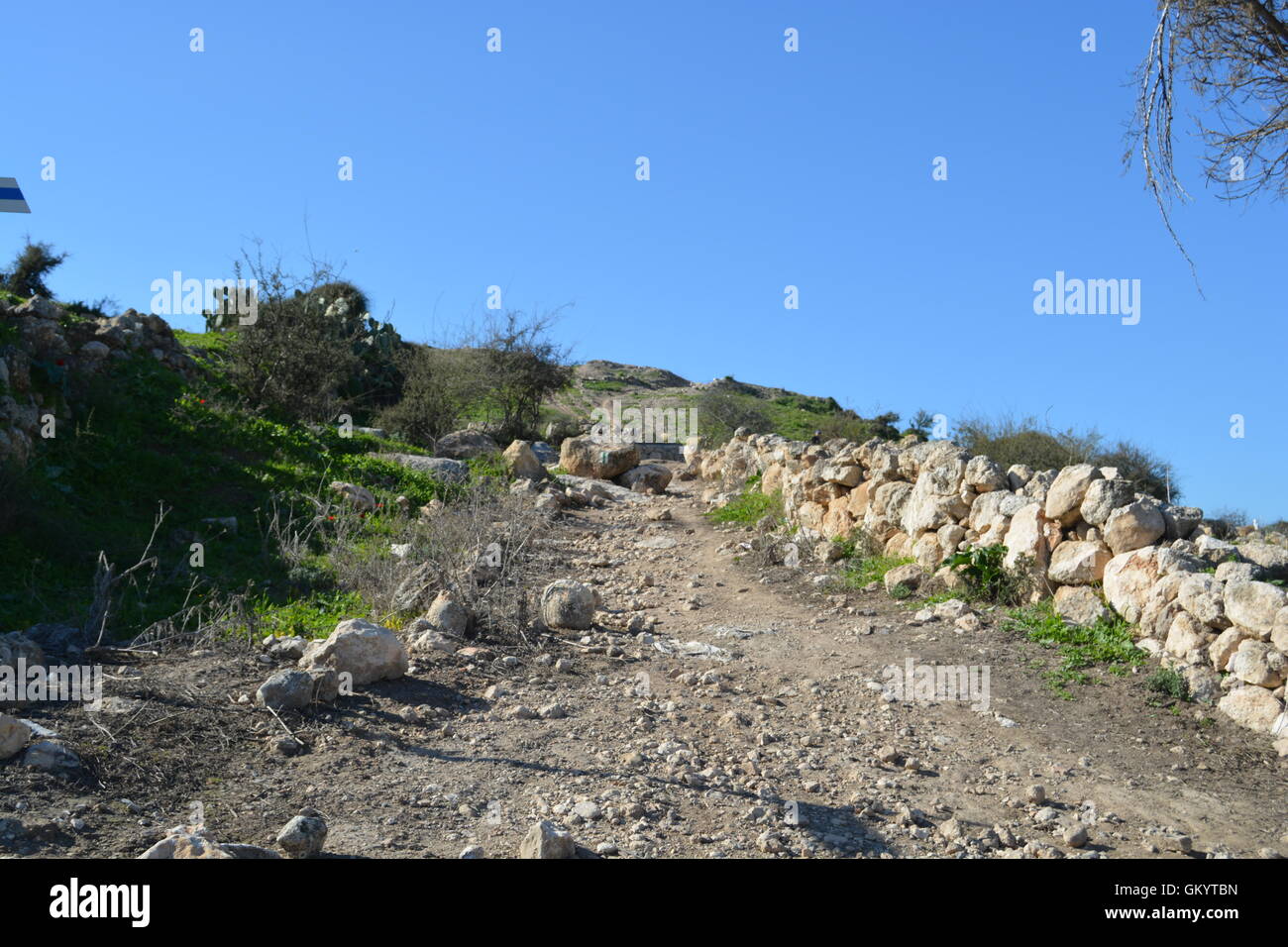 Tel Hazor, Israel Stock Photo - Alamy