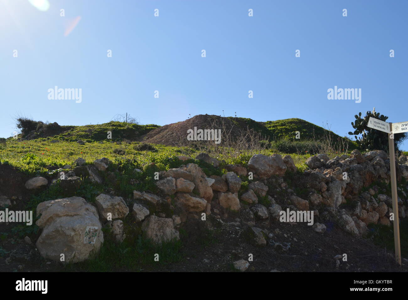 Tel Hazor, Israel Stock Photo - Alamy