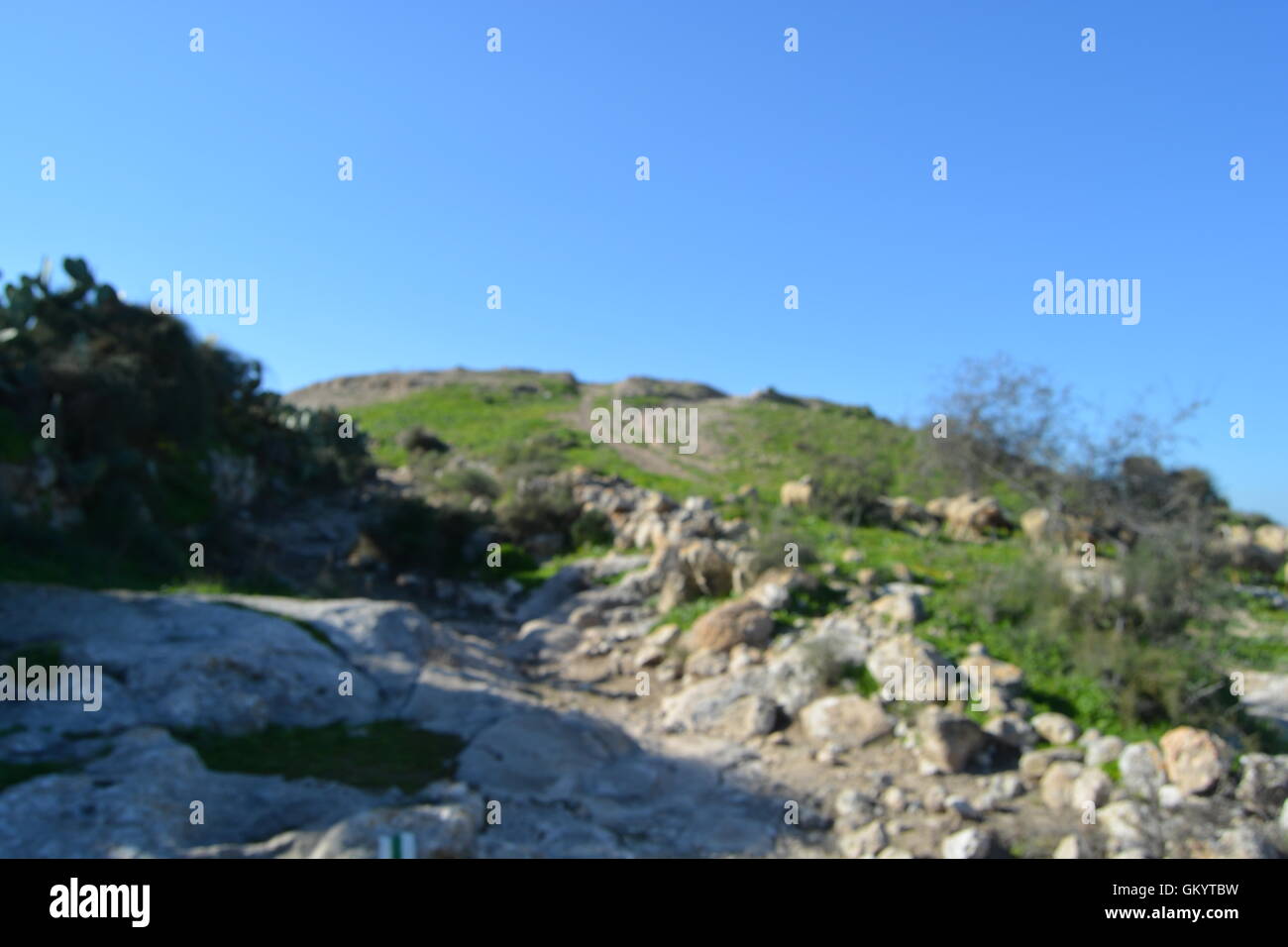 Tel Hazor, Israel Stock Photo - Alamy