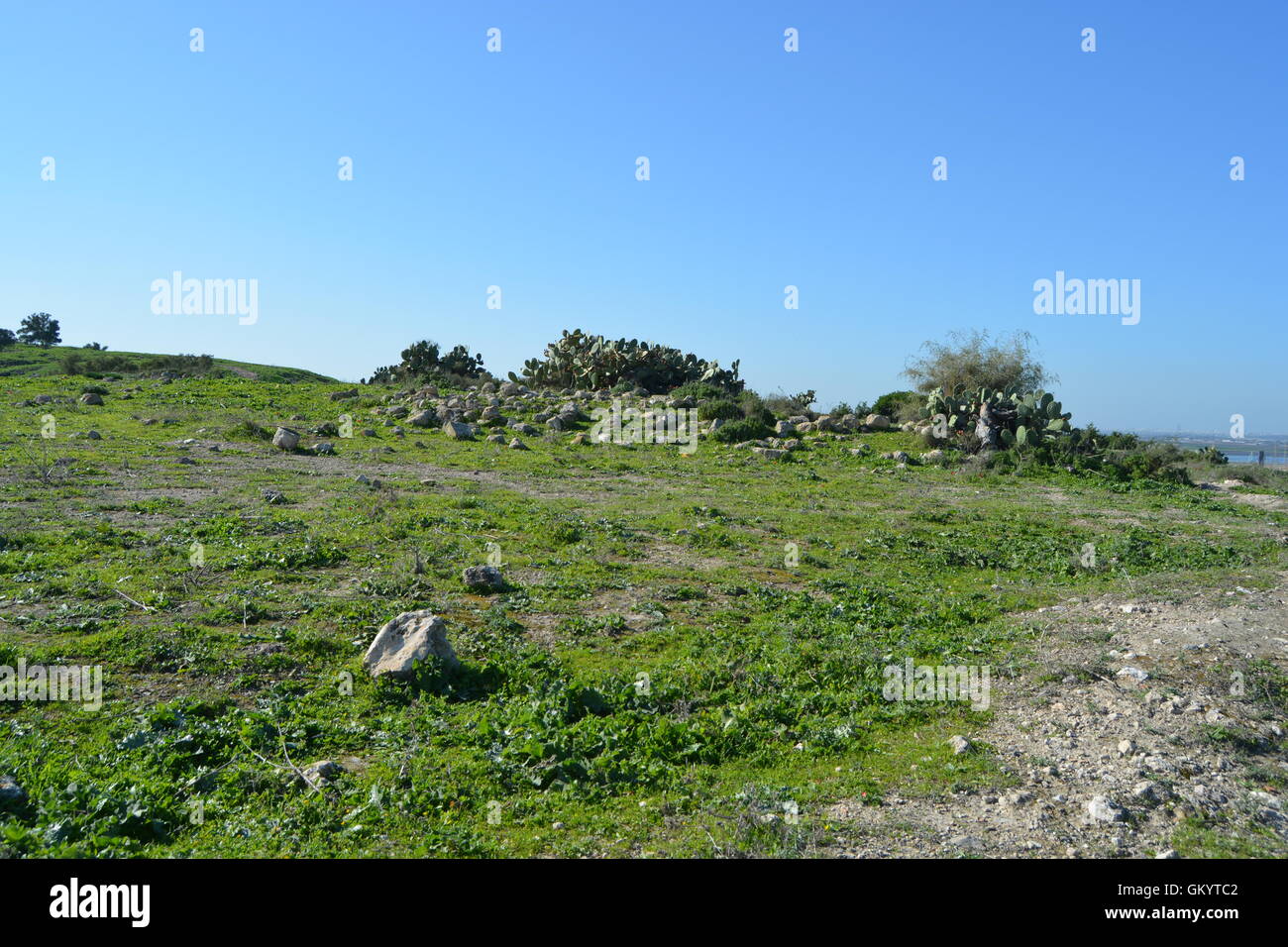 Tel Hazor, Israel Stock Photo - Alamy